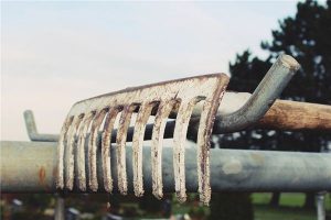 The meaning and symbol of Rake in dream – Online Dream Dictionary