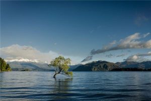 The meaning and symbol of being submerged in a dream – Online Dream ...